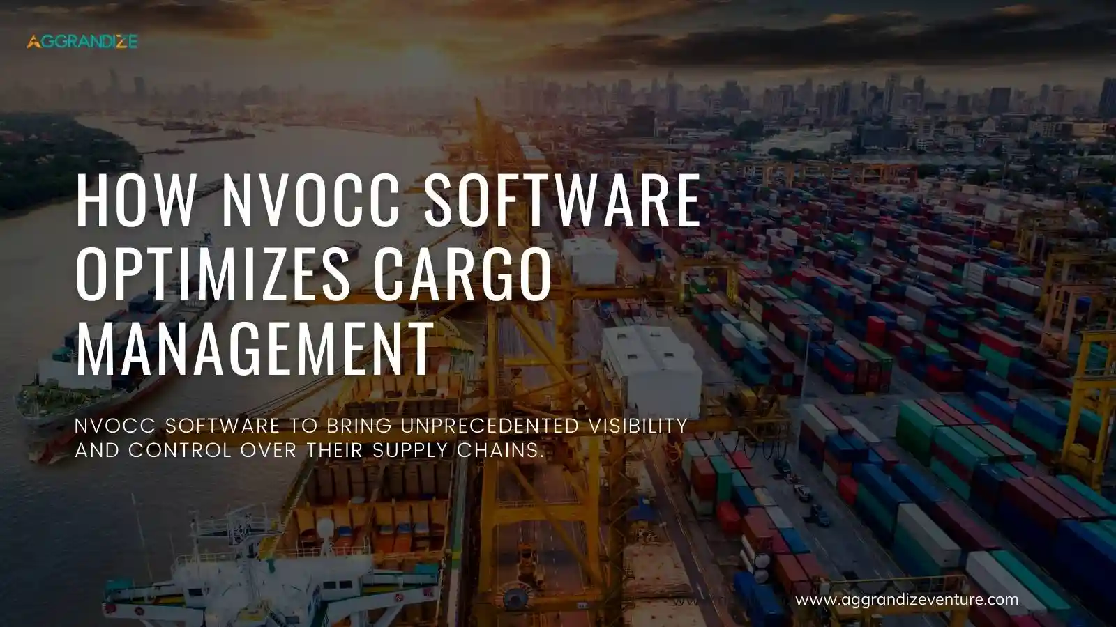 How NVOCC Software Optimizes Cargo Management